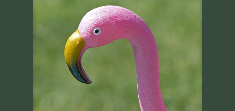 Free resources – The Philosophy Club